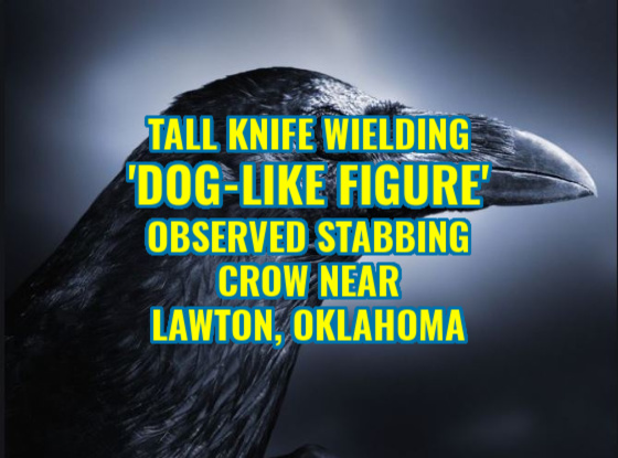 Please enable JavaScript