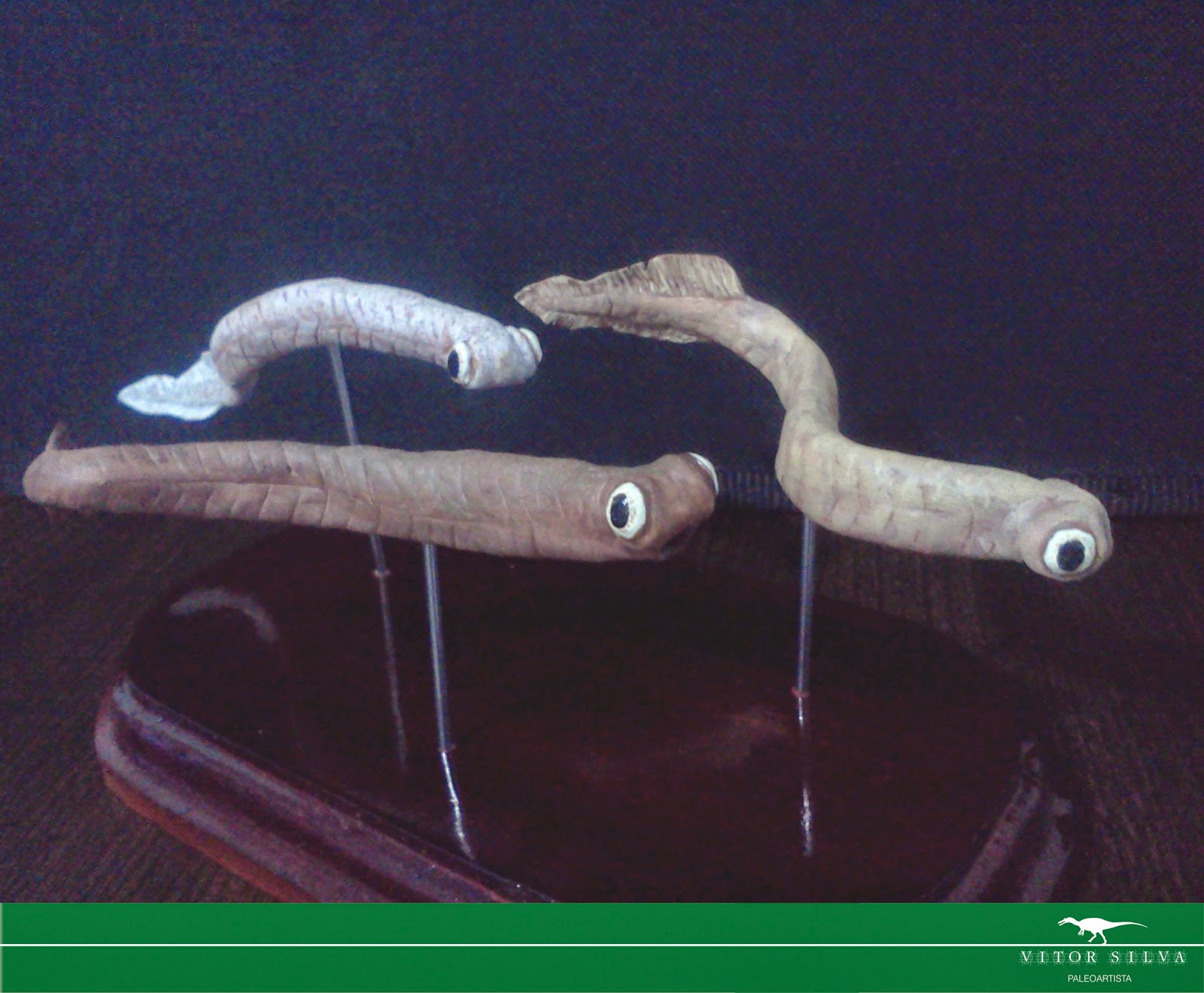 Vitor Silva - Paleoartista: Conodontes - Paleo Brasil