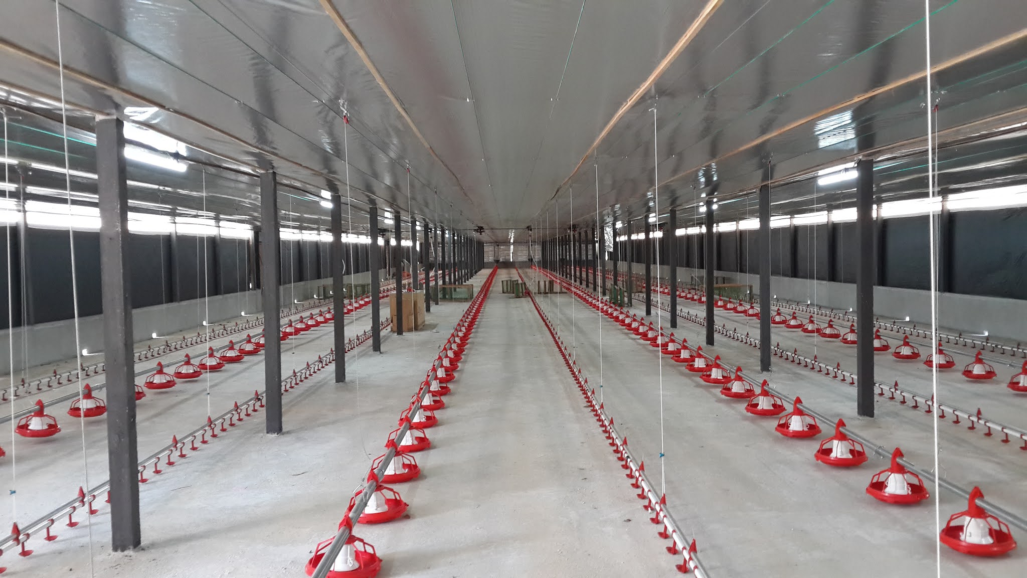 Reban Ayam Daging Structure Besi 2 Tingkat | Maria Firdaus