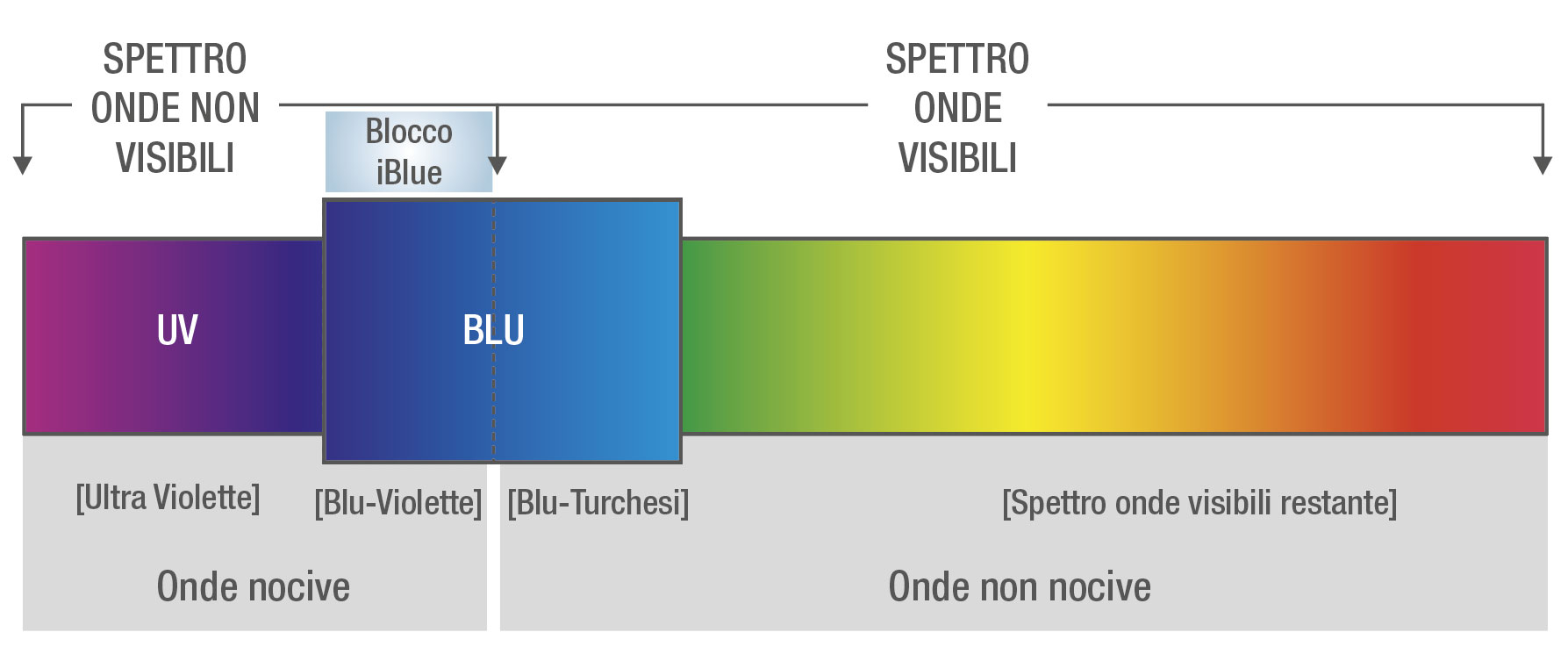 La percezione visiva