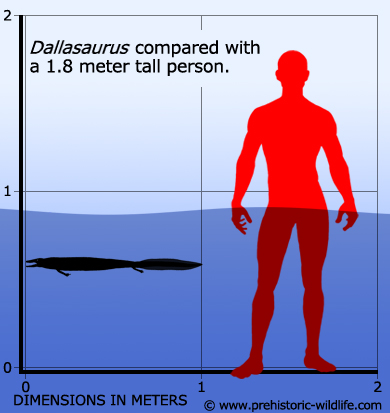 MARAVILLAS DEL OCEANO