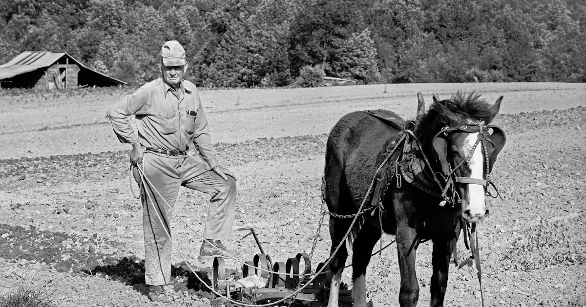 The Wandering Lensman: The Story Behind The Image; Farmer And Mule Plowing