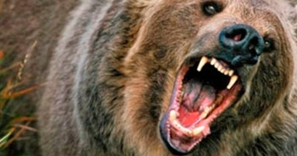 LEMBRANZAS 1: SECUNDINO, EL PRIMER HÉROE DEL AÑO