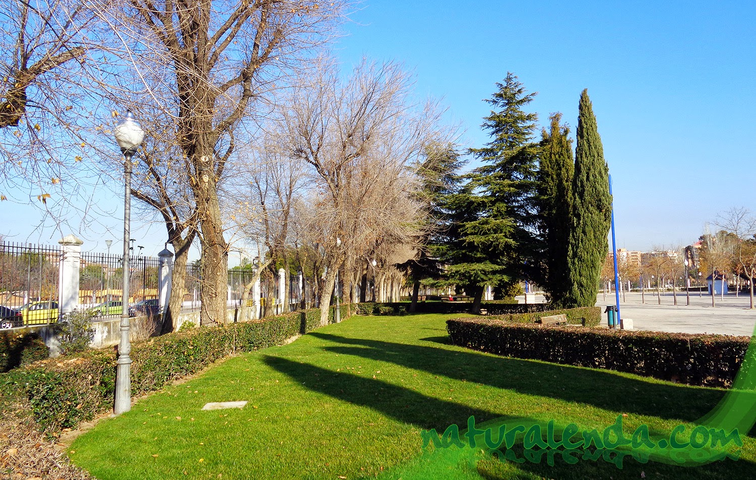 La naturaleza en casa: El parque de Liana en Móstoles