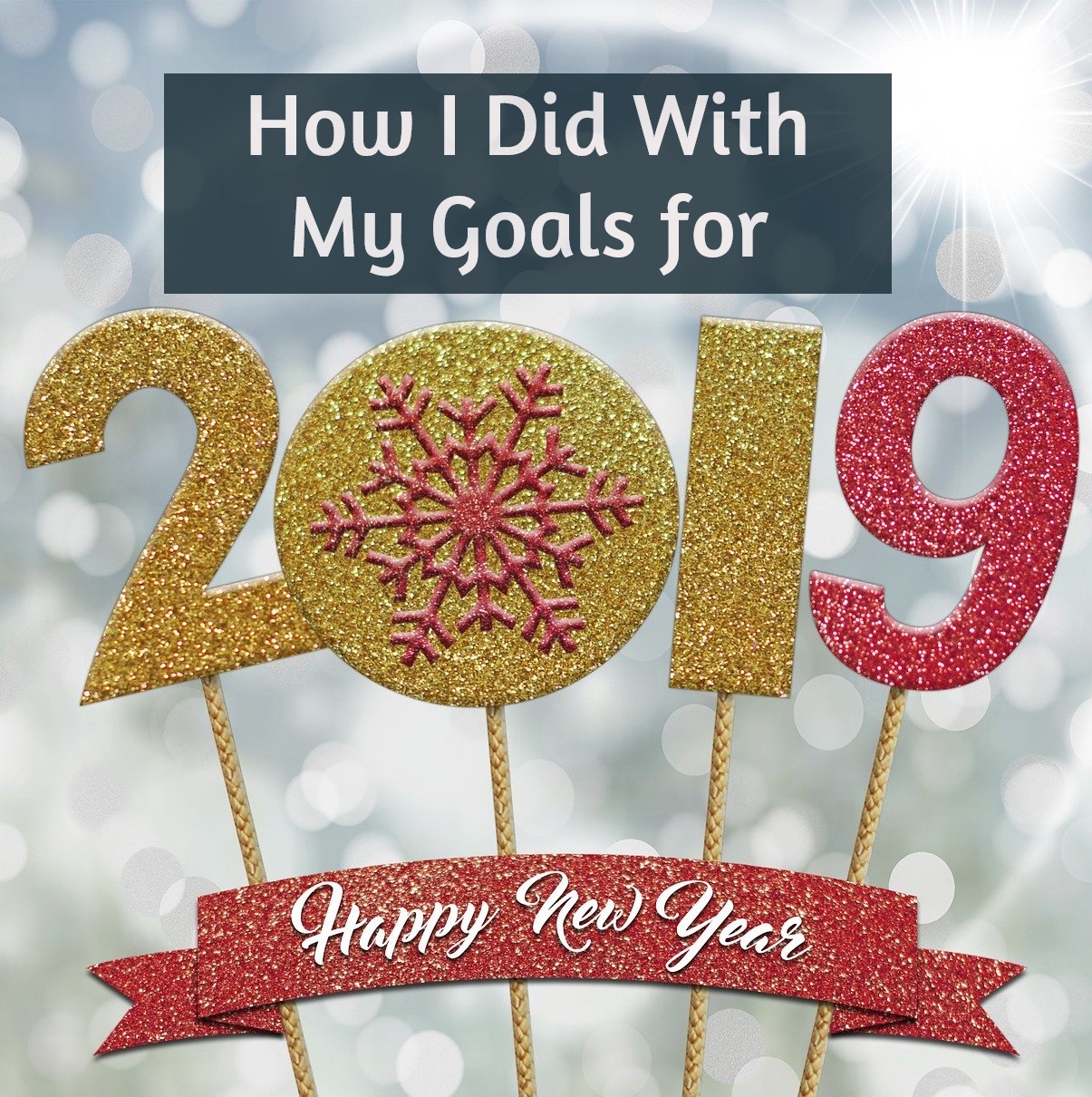 My 2019 Goals and How I Did