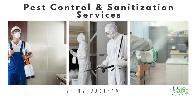 Pest Control & Sanitization Services Bangalore