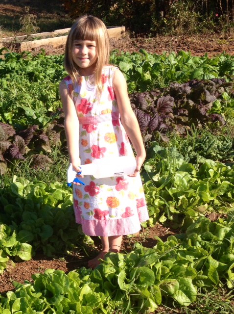 Homestead Moma: Natrual Homestead Pest Repellent: A Safe Farm Spray!