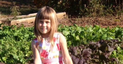 Homestead Moma: Natrual Homestead Pest Repellent: A Safe Farm Spray!