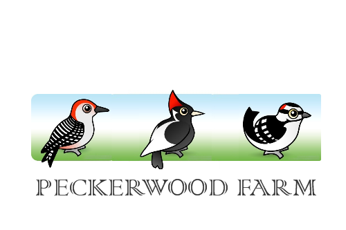 Life at Peckerwood: January 2012