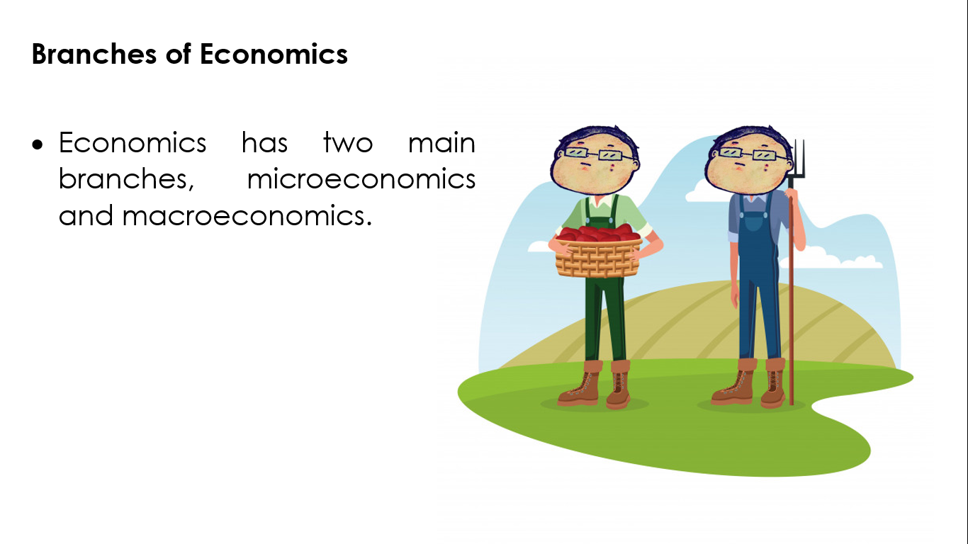 Economics - Branches of Economics