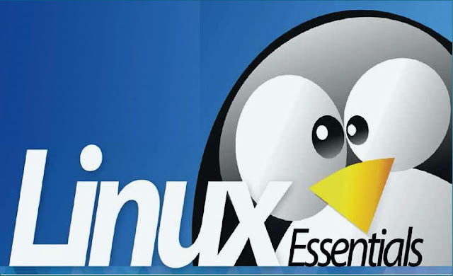 Linux Essentials: Overview | LPI Central