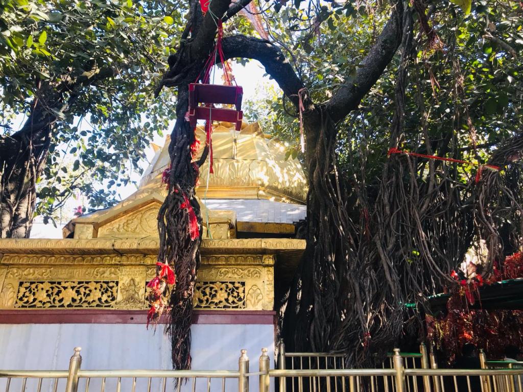 Hindu Temples of India: Chintpurni Temple, Una, Himachal Pradesh