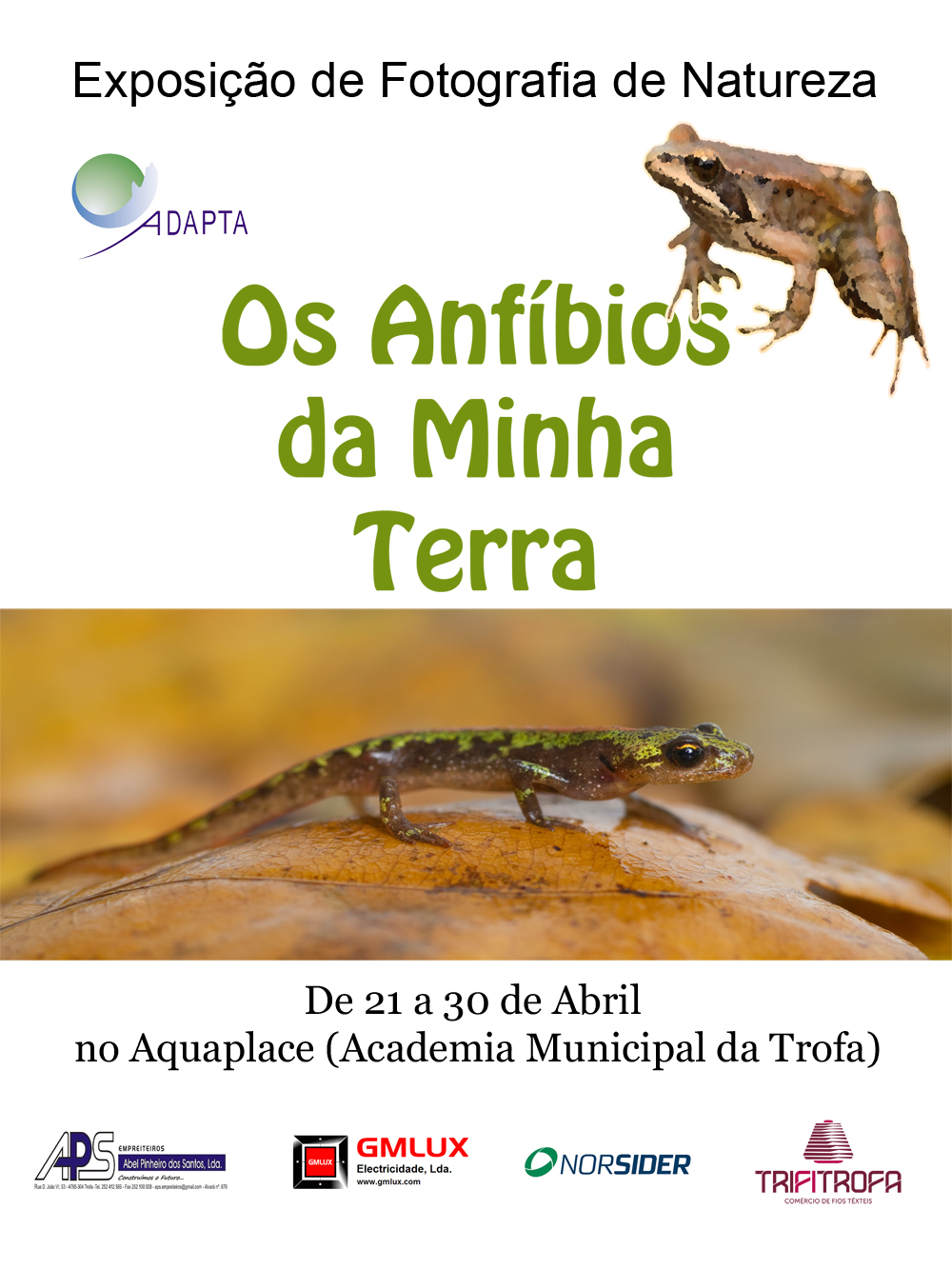 Anfíbios & Répteis: Exposição de Fotografia - Os anfíbios da Minha Terra