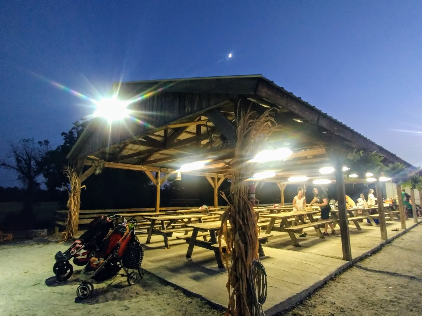 Another Mile Another Destination Blog: Steed’s Dairy Farm and Corn ...