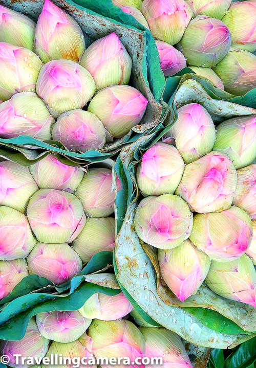 Bangkok Flower Market - Pak Khlong Talat, Thailand