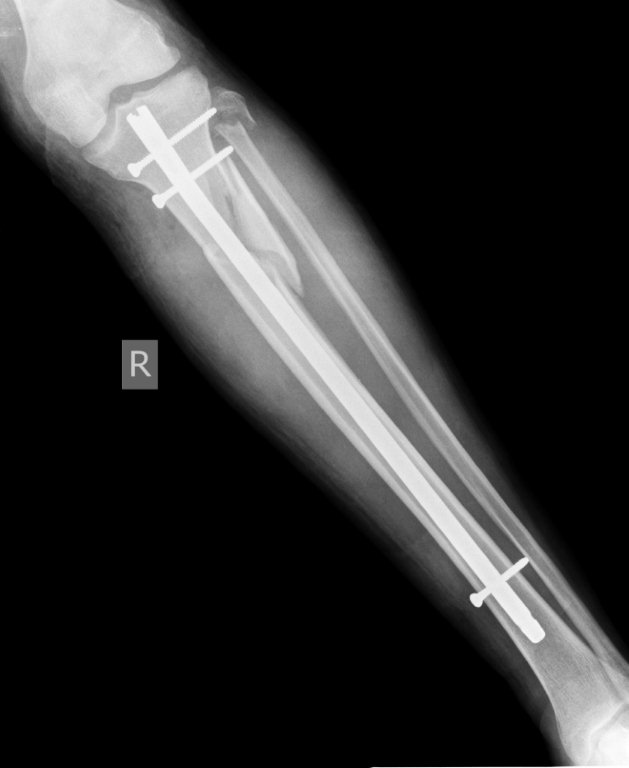 The Galat Family: October 2012