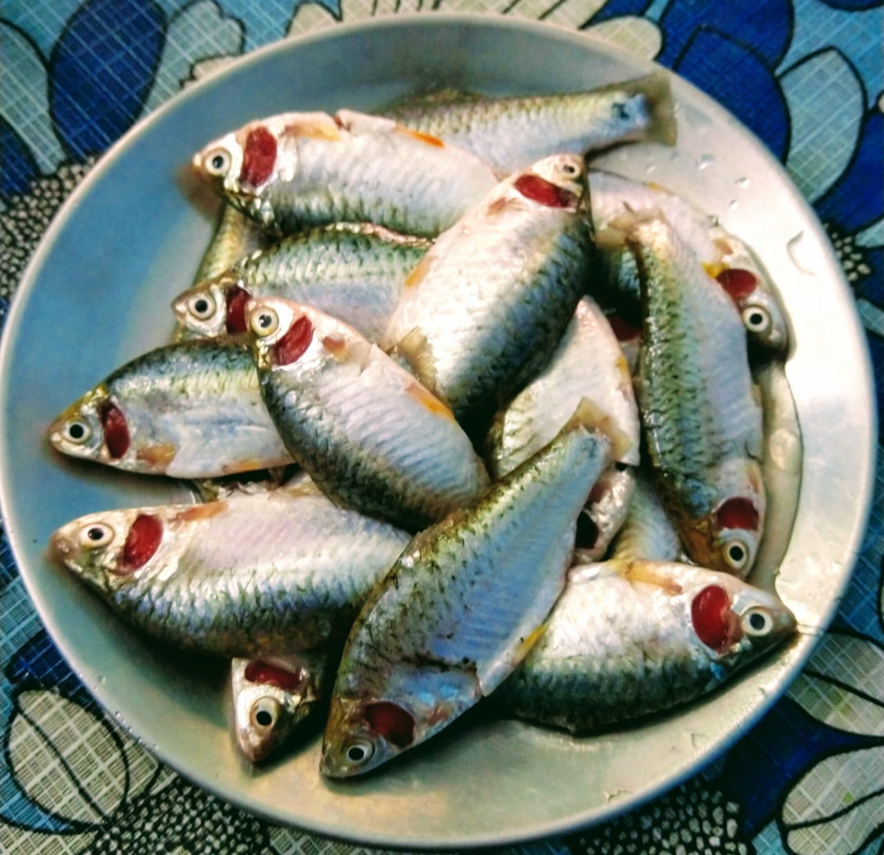Tastes Different (The Food Blog): WINTER SPECIAL SMALL FISHES AKA CHUNO ...