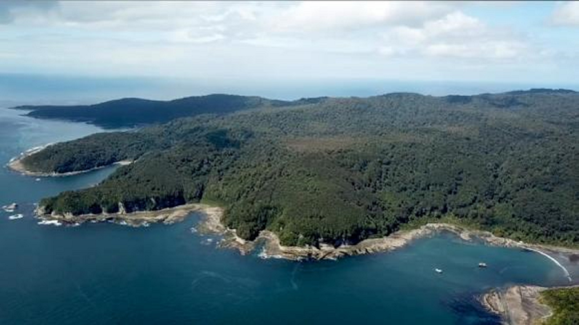 Araucaria: AU CHILI, L'ÎLE DE GUAFO, TERRE SACRÉE DU PEUPLE MAPUCHE ET ...