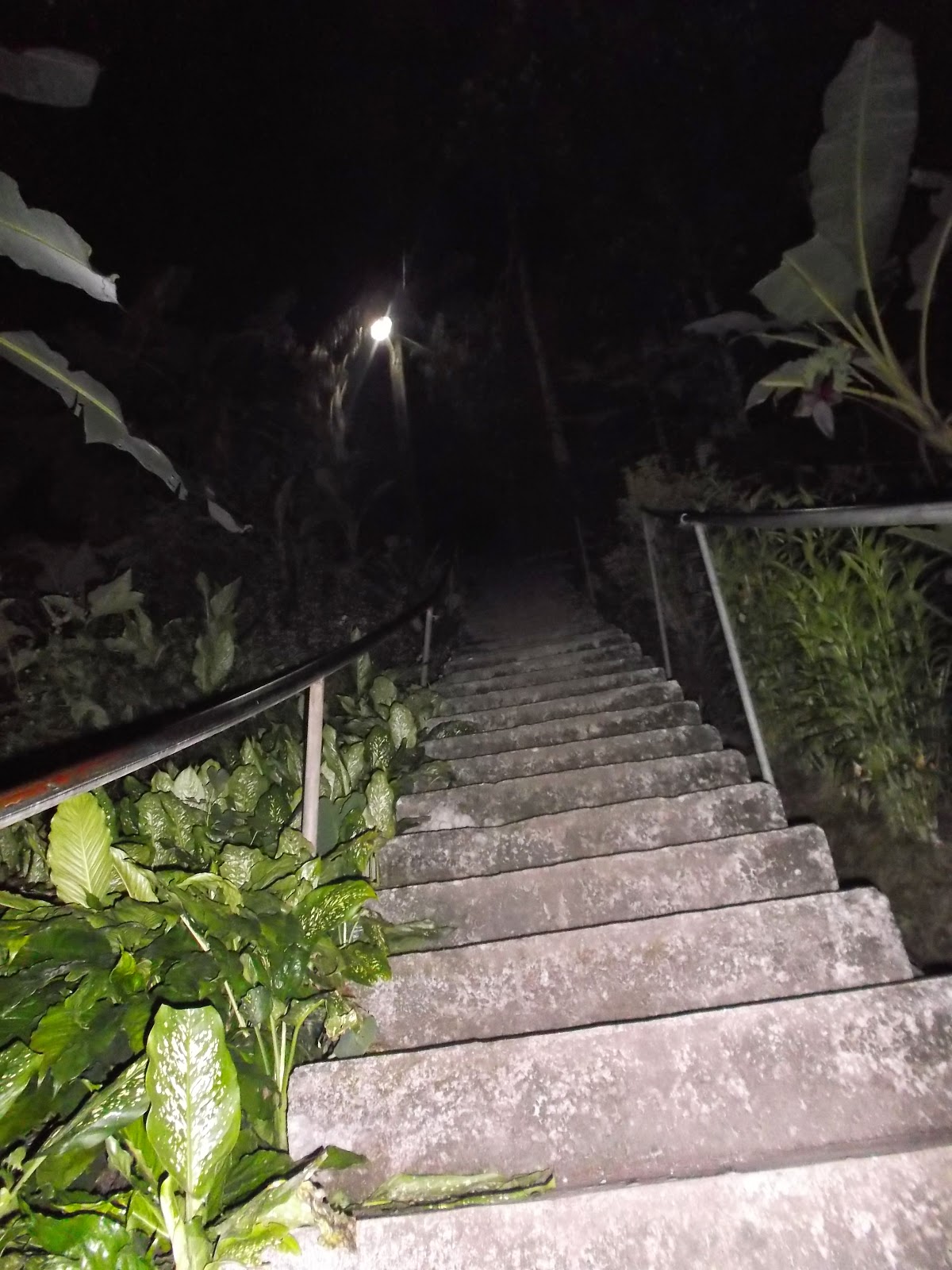 Elder Jordan Paul Kocherhans: March 2015