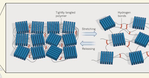 Polymercatalysis
