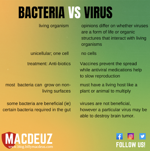 the billymacdeus' blog: Bacteria VS Virus