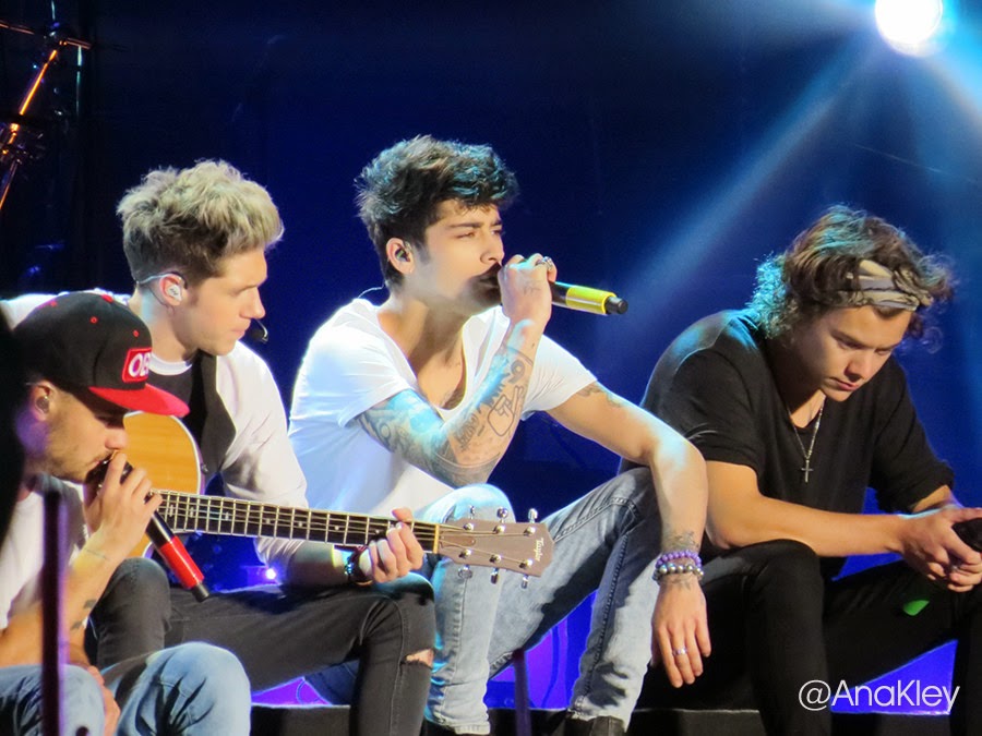Viciadas por One Direction: Último Show do One Direction no Brasil