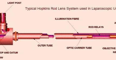 Biomedical engineering