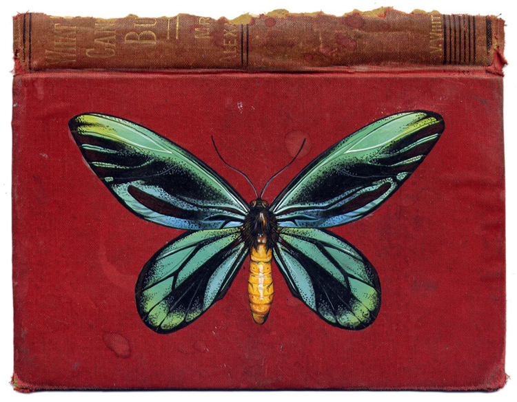 JE;SU: Bugs on Books