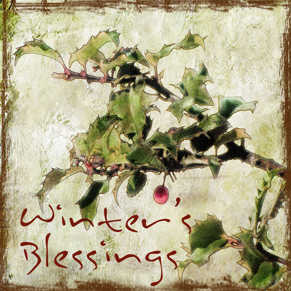 just another volunteer: 4 by 4 Friday--Winter Blessings