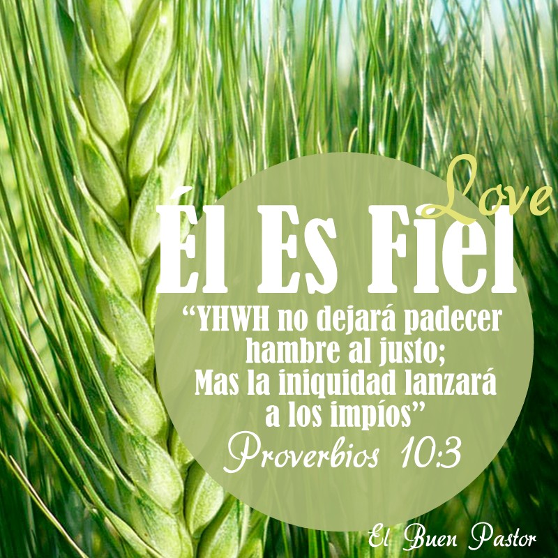 YO SOY EL BUEN PASTOR: Proverbios 10:3