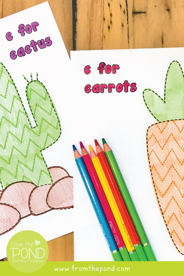 Big Shape Tracing Revision | From the Pond