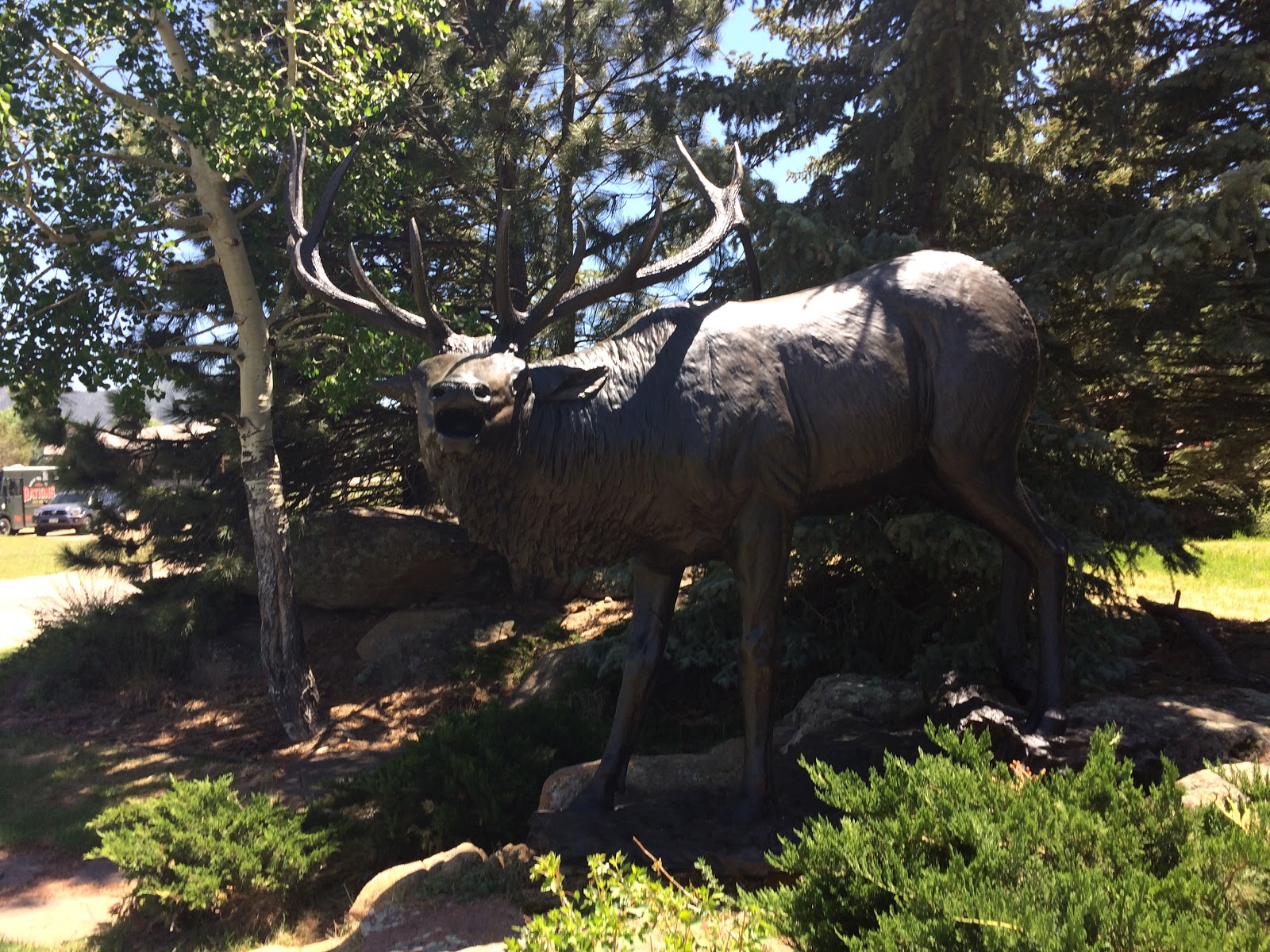 Samson; Estes Park, CO, USA