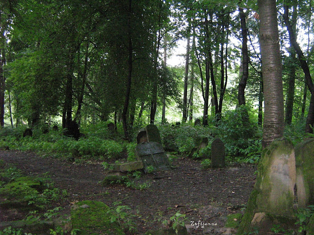 Z rakiem w tle: Ponad podziałami.