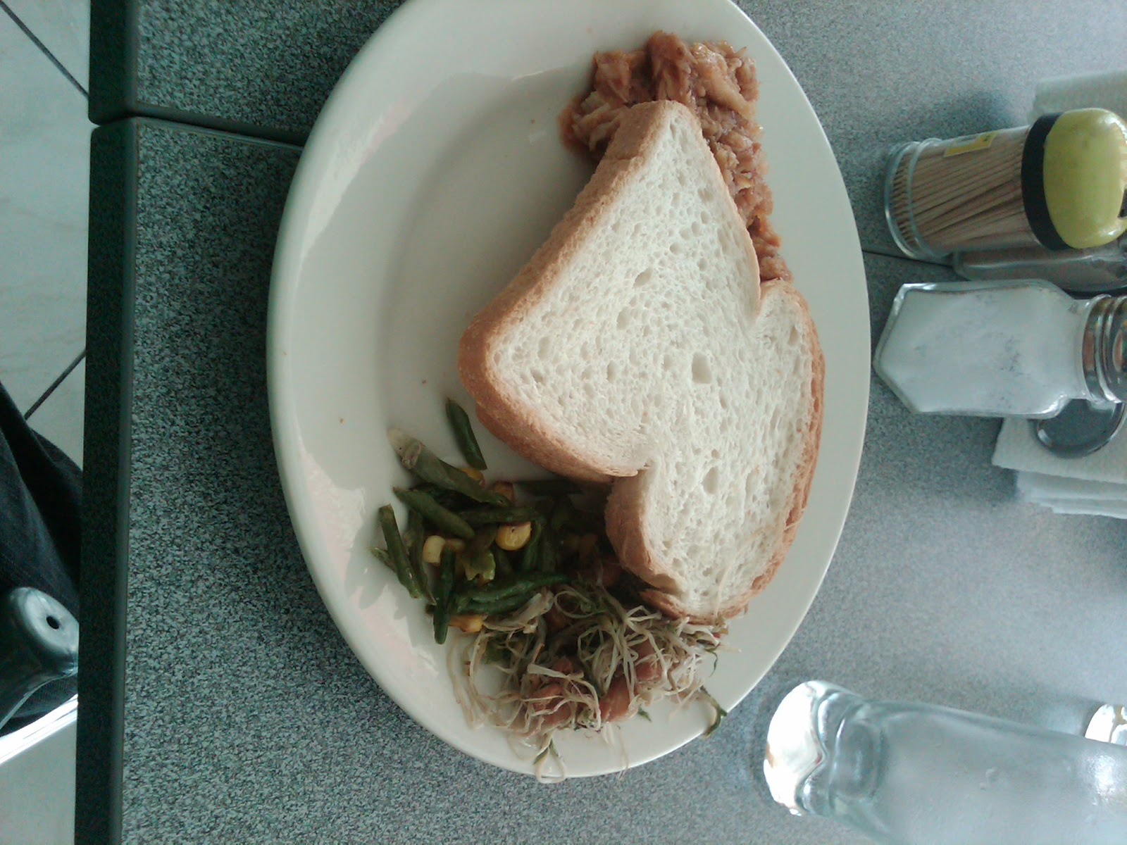 UTT IIEM 2012 Blog: Suriname Study Tour Day 1