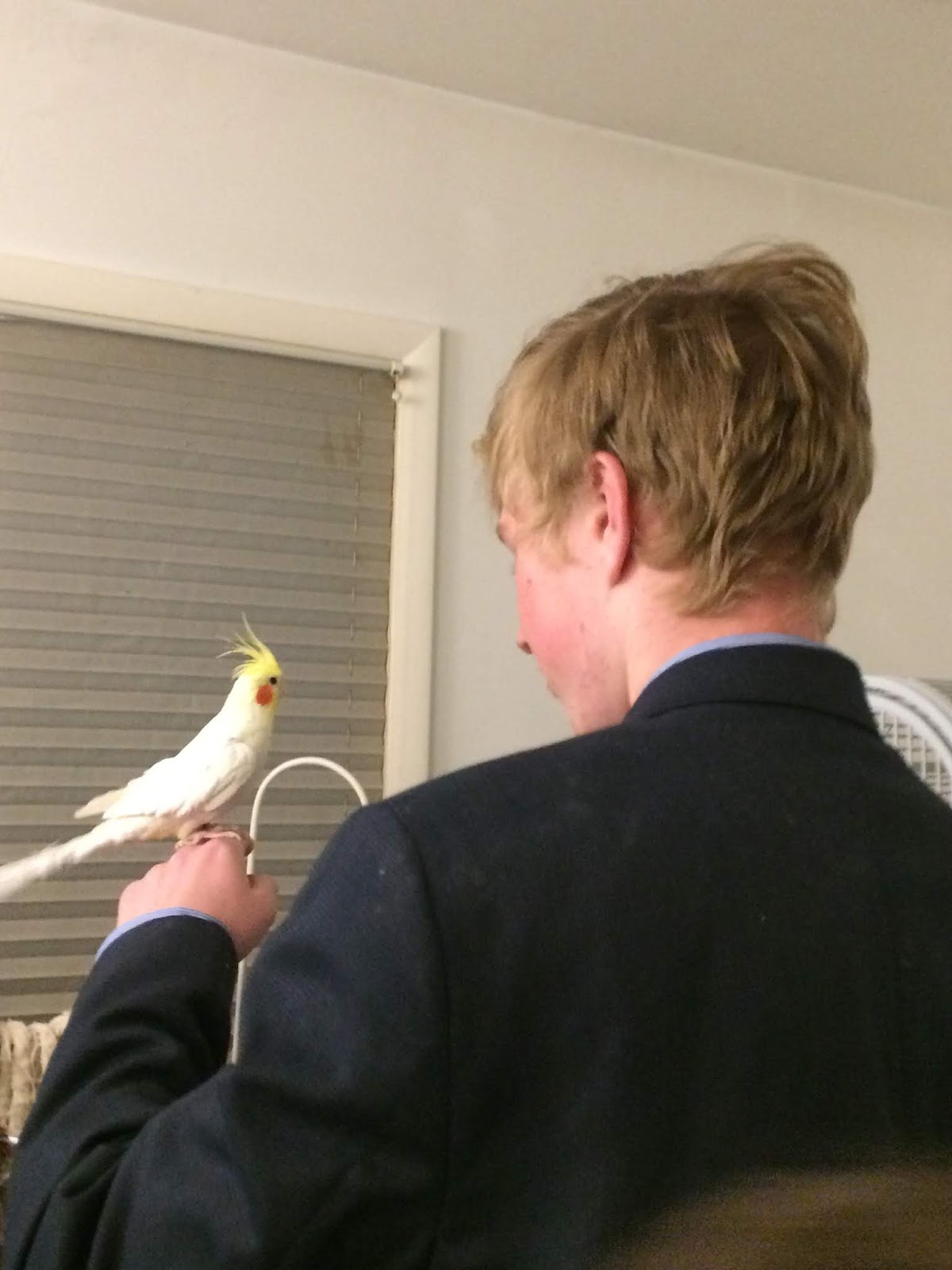 The Helpful Art Teacher: Photography 101: types of camera shots