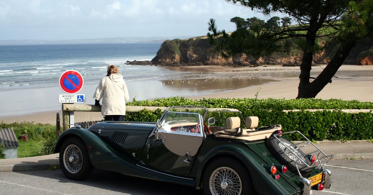 One Man and his Mog: Pure Morgan!