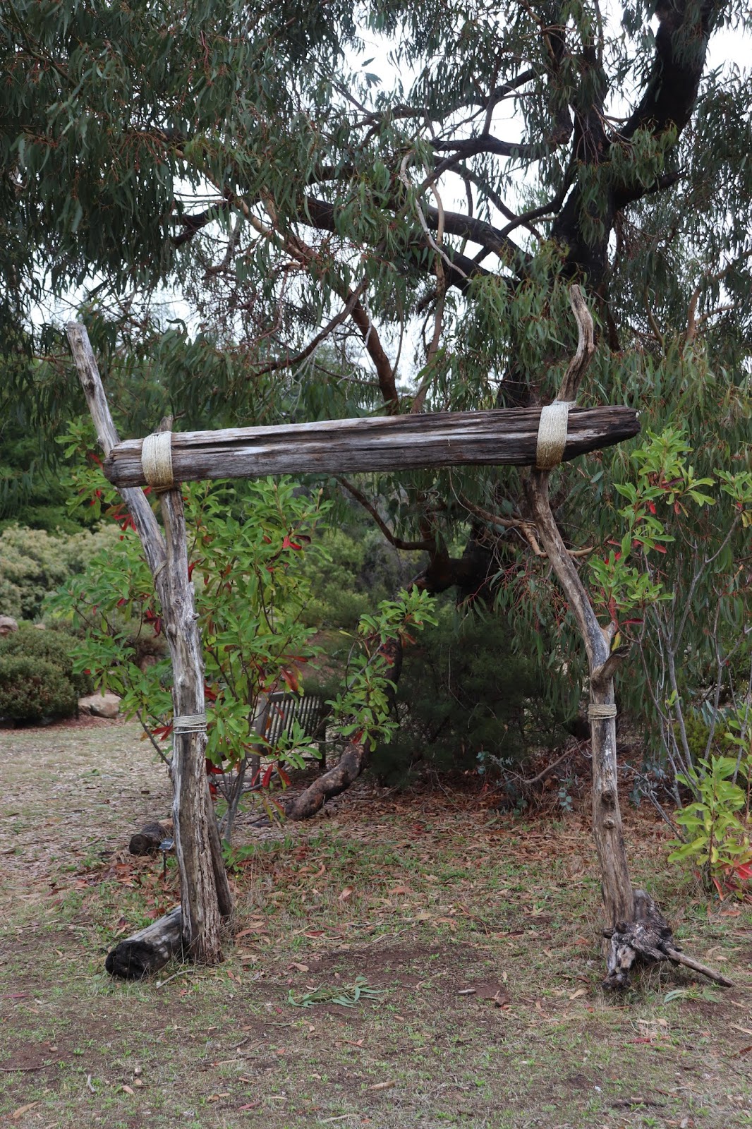 Let's Go! UCSC Arboretum and Botanic Garden Part I