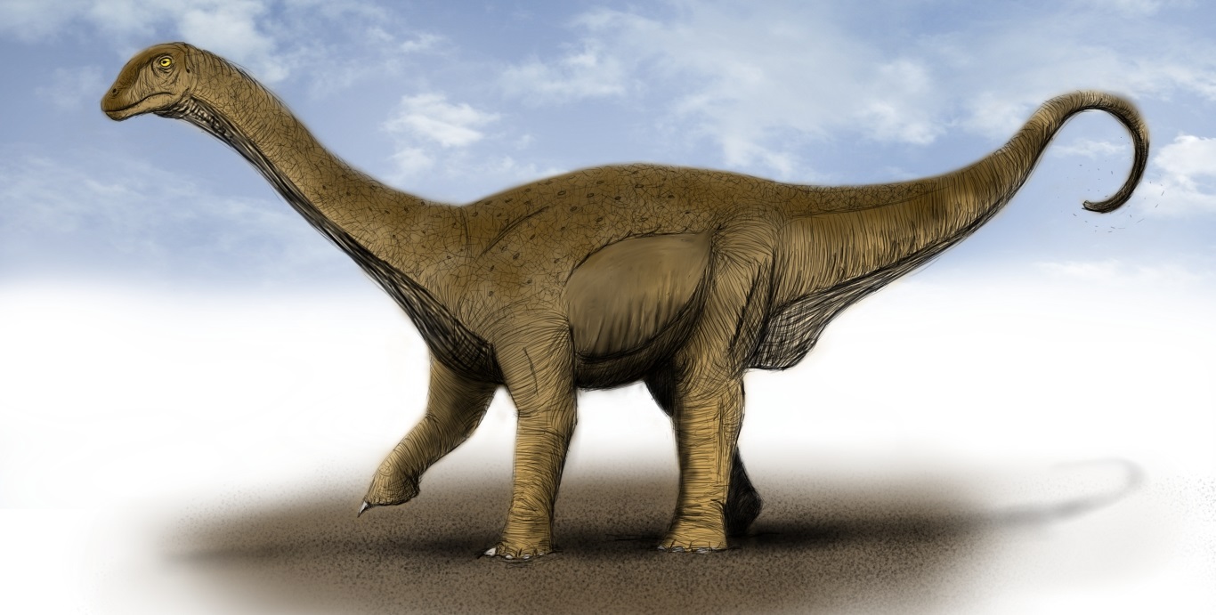 Caminantes del Desierto: EL ATACAMATITAN CHILENSIS