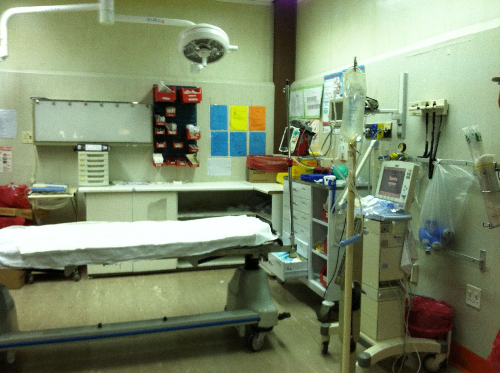 Partners Center of Expertise in Global and Community Health: Trauma and ...