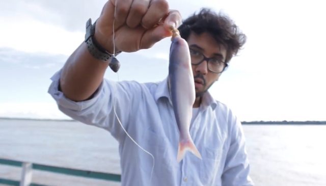 Conheça um pouco sobre o Candiru, o temido peixe da amazônia