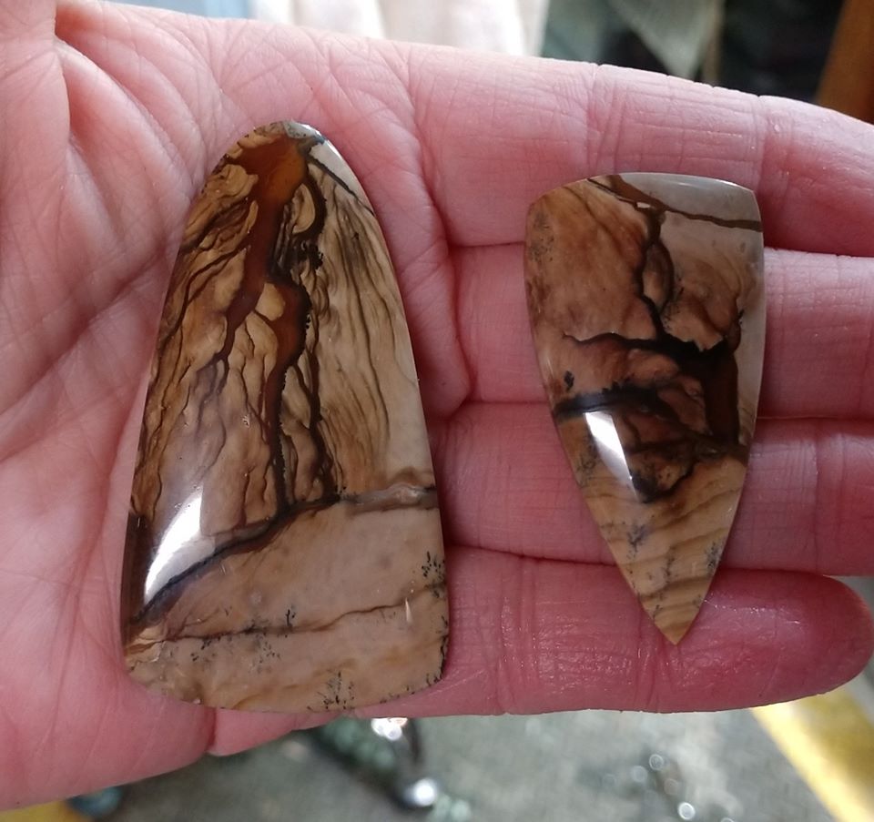 Biggs Jasper How to Guide