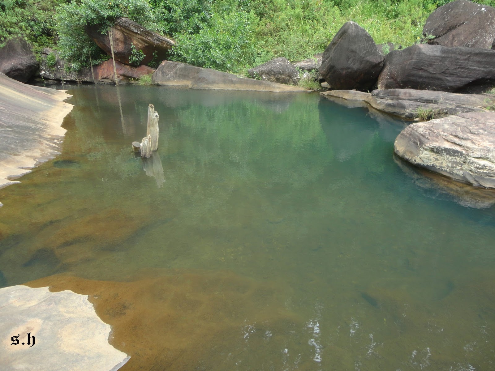 picture box: nacharal