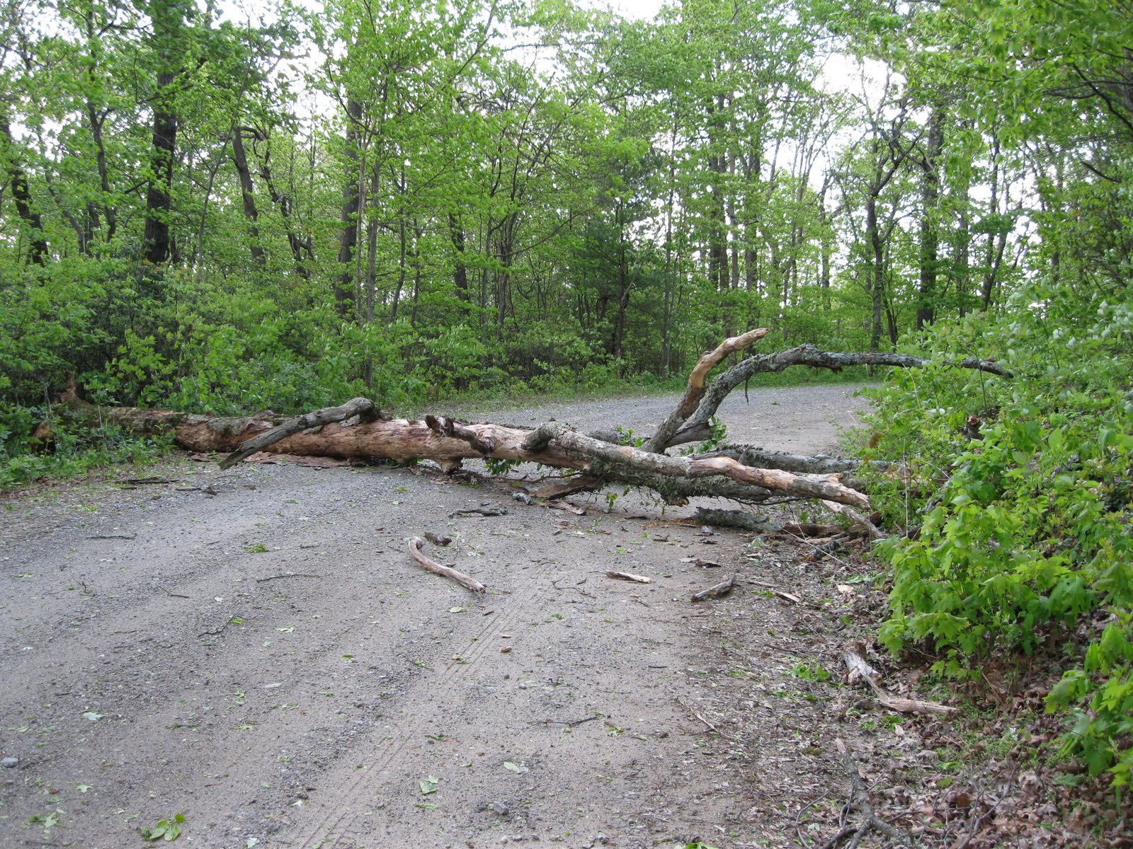 Adventures on the Appalachian Trail