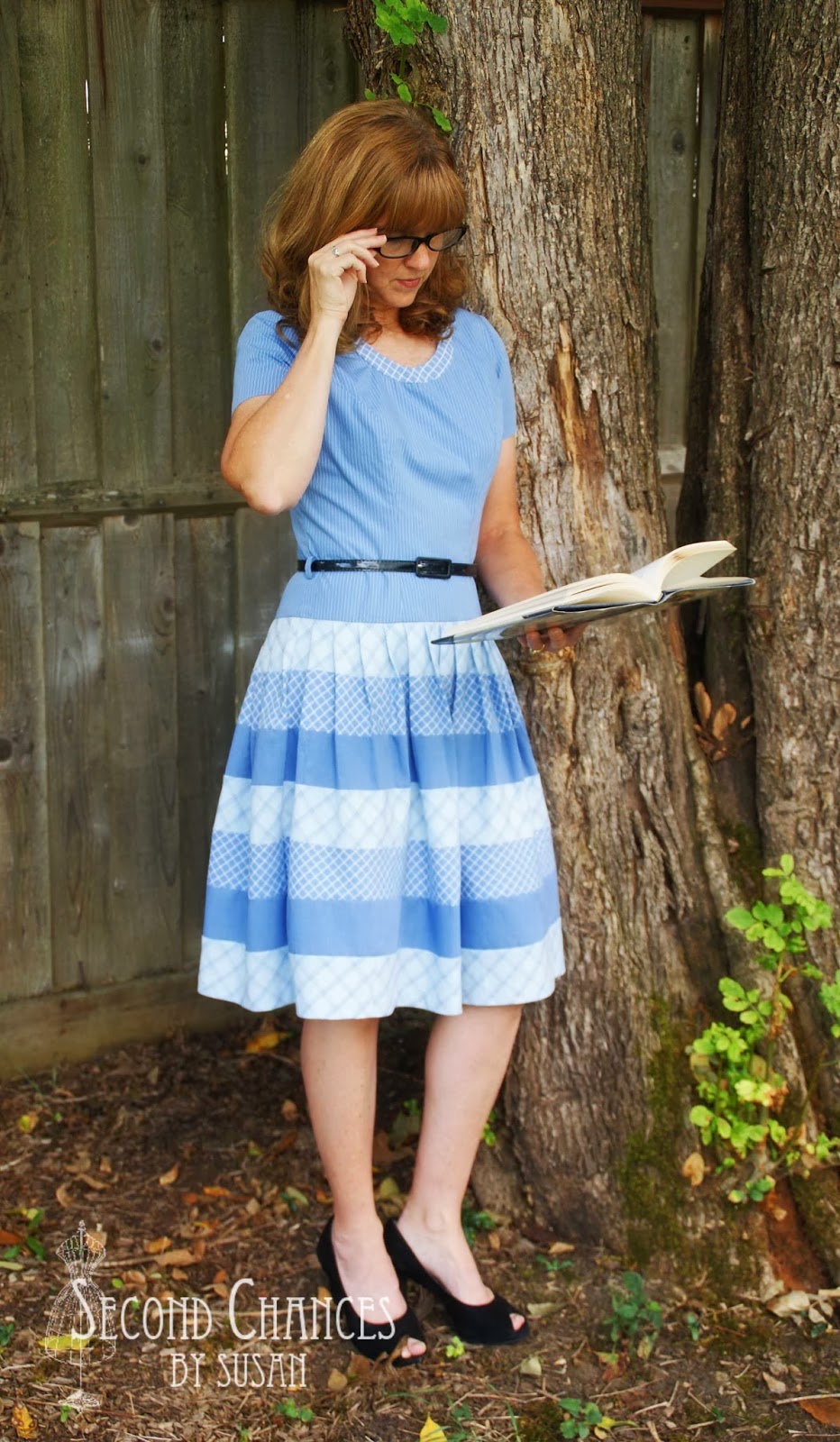 Second Chances by Susan: 2013