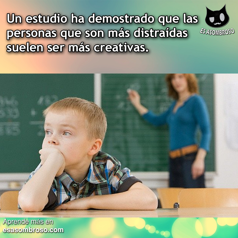 Es Asombroso: Un estudio realizado por la Universidad de Harvard y de ...