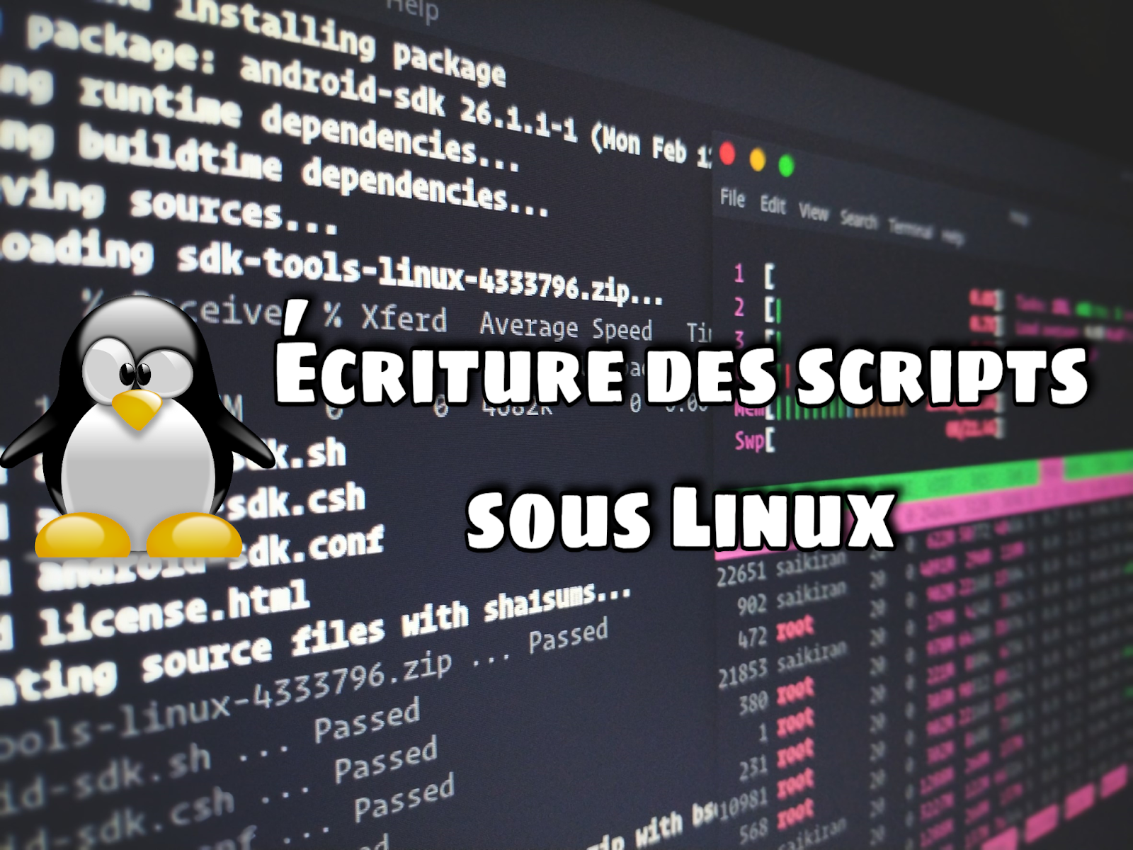 Écriture des scripts sous Linux BTS SRI S2