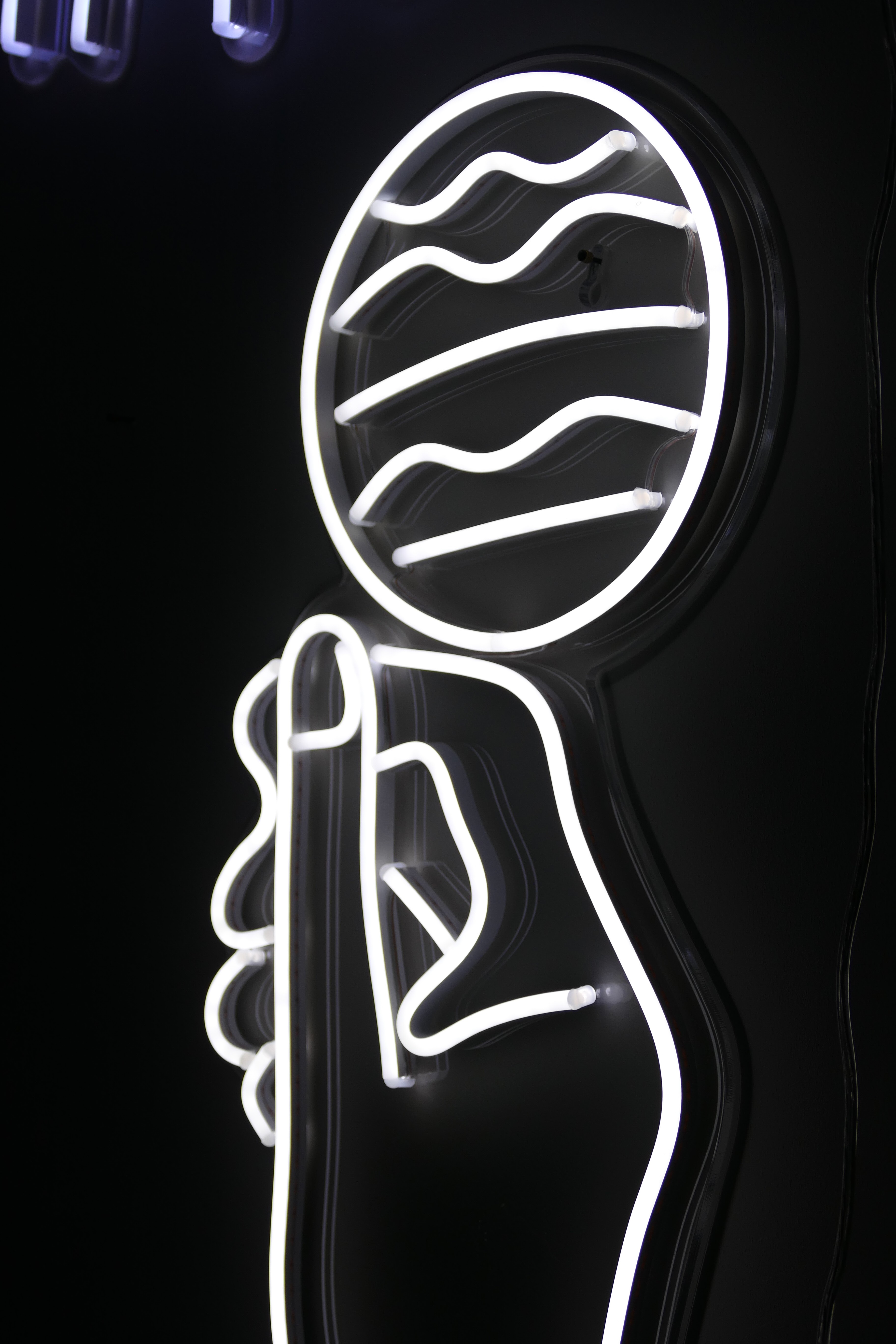 Best Neon Lights To Get For Your Home- Neon Vibes Review - fantail flo