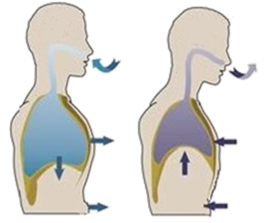 Terapias Anna Orench: Oxígeno, Prana, Qi: Respira