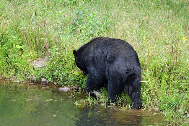 La Petite Hirondelle: Canada. Kingston et Ottawa. 3 au 5 août 2016