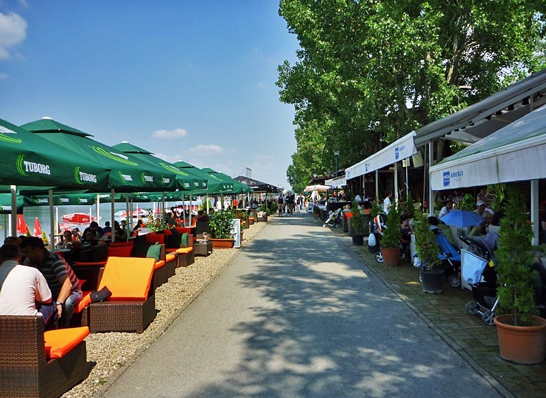 JEBANJE U GUZU: 2020